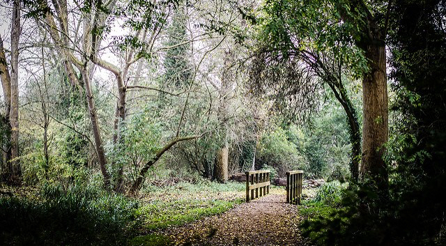 Wandle Walks – London Living Streets